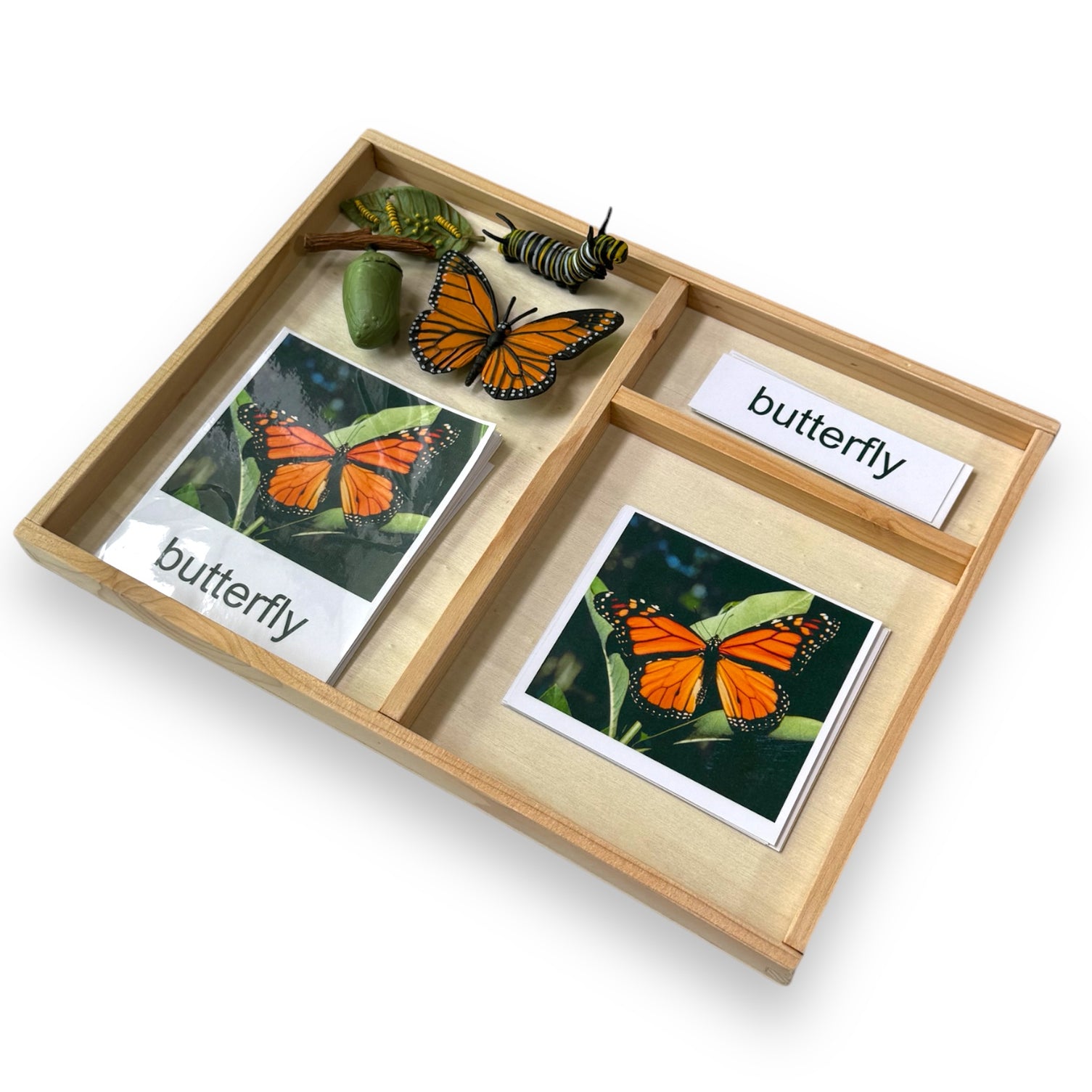 Montessori Tray for 3 Part Cards | Montessori Child