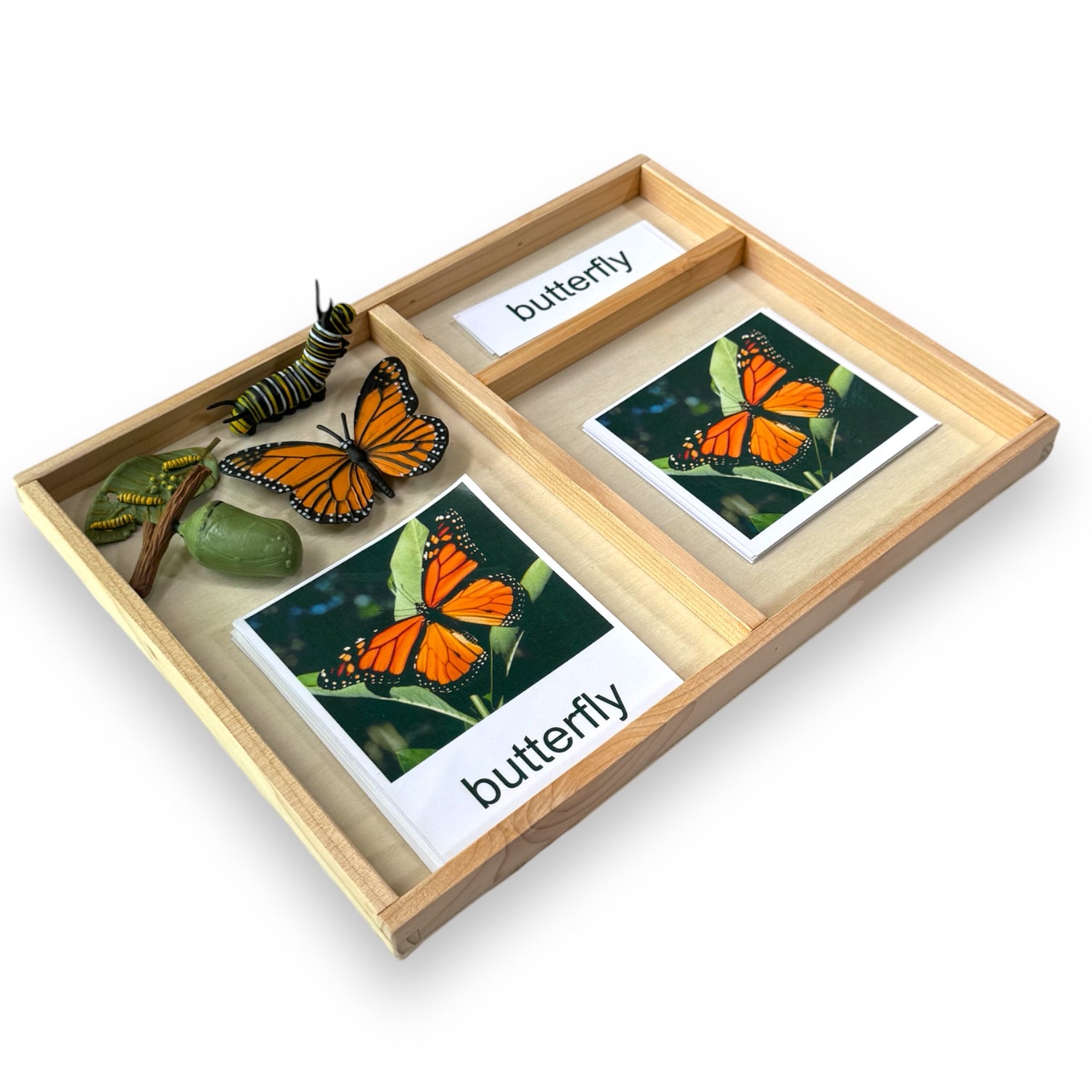 Montessori Tray for 3 Part Cards | Montessori Child