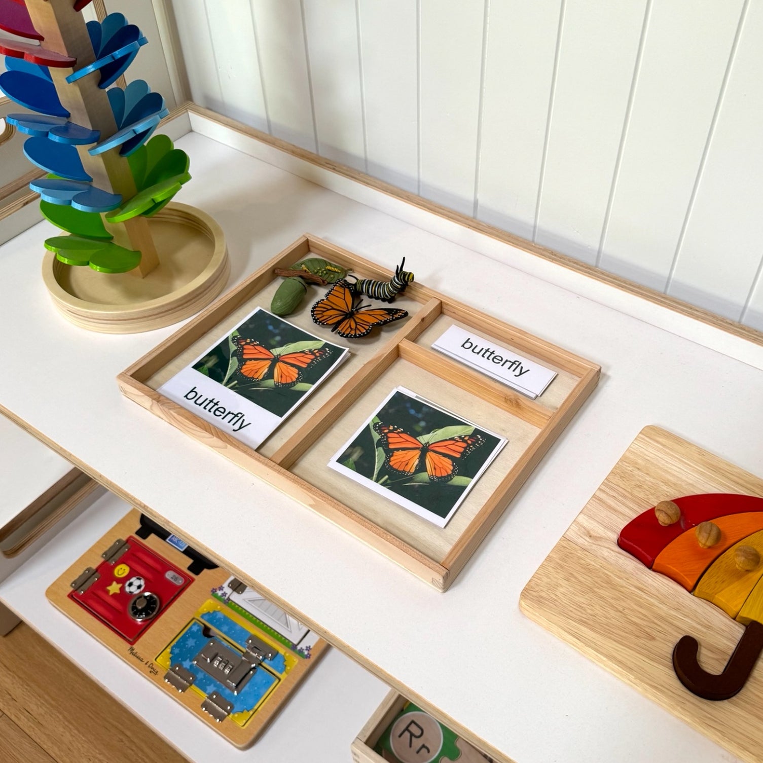 Montessori Tray for 3 Part Cards | Montessori Child