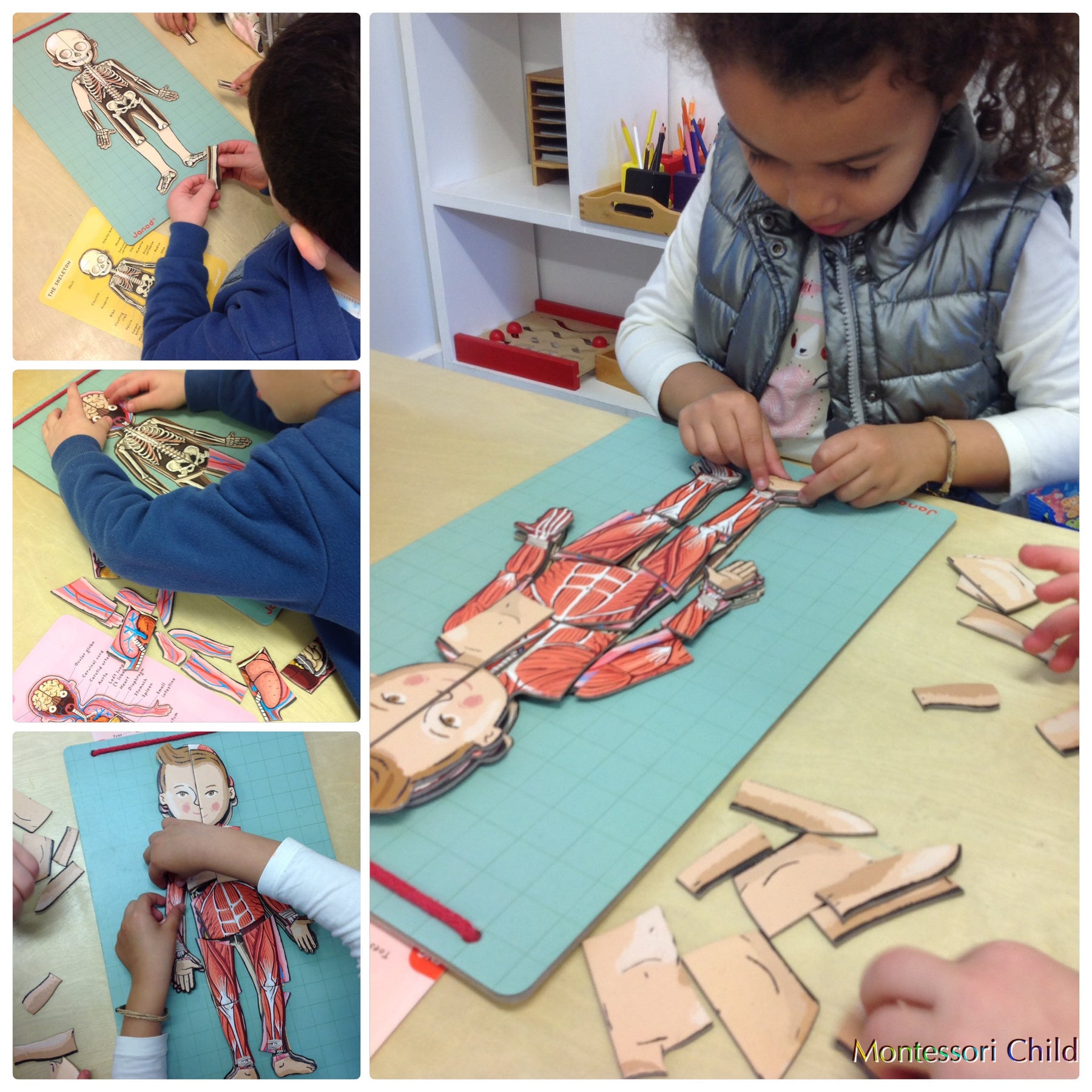 Puzzles & Patterns | Montessori Child
