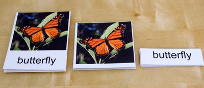 Butterfly Life Cycle Models & 3 Part Cards | Montessori Child