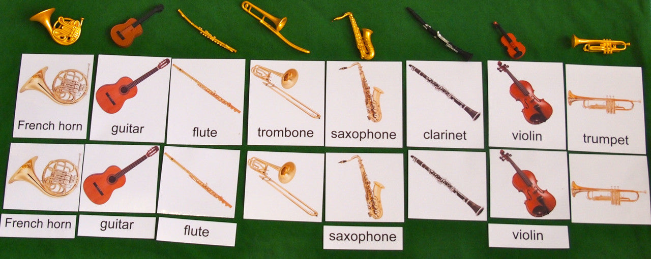 Model Instruments & 3 Part Cards | Montessori Child