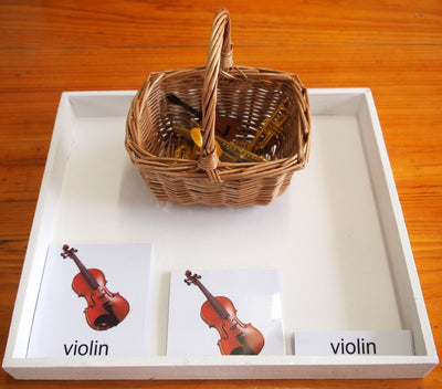 Model Instruments & 3 Part Cards | Montessori Child
