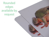 Ladybug Life Cycle Models & 3 Part Cards | Montessori Child