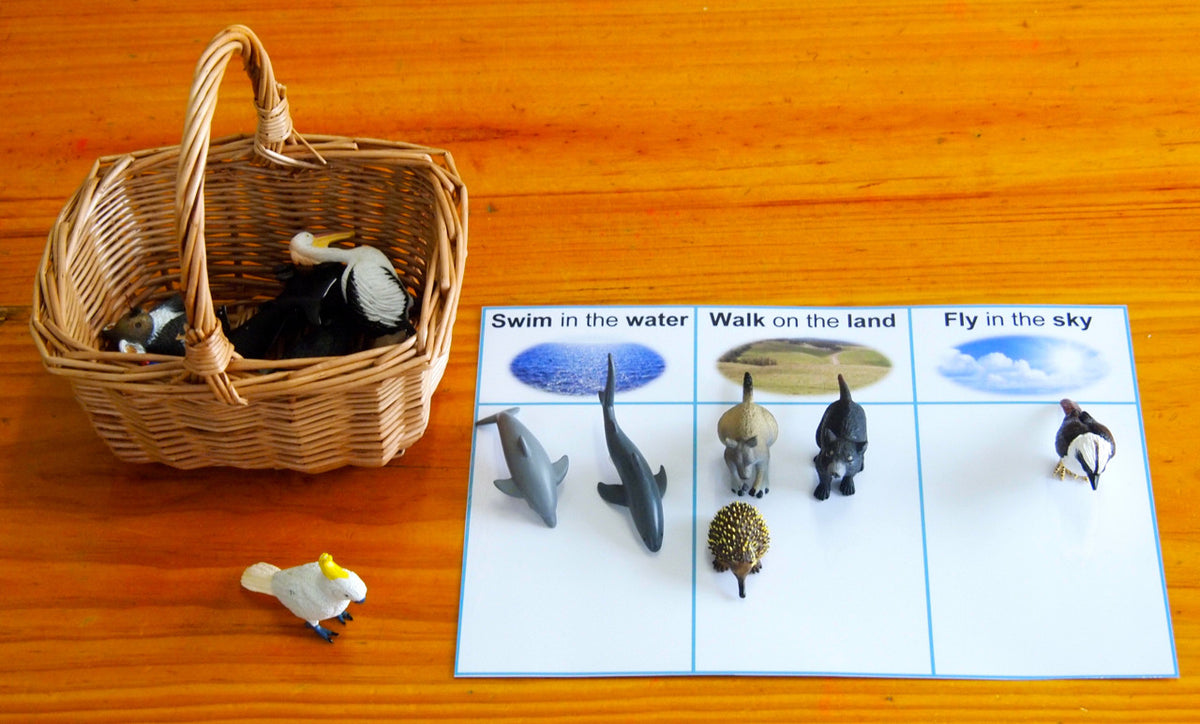 Australian Animals Sorting Set | Montessori Child